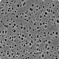 Laboratory Syringe Filter Supplier - Disposable Filters for Laboratory